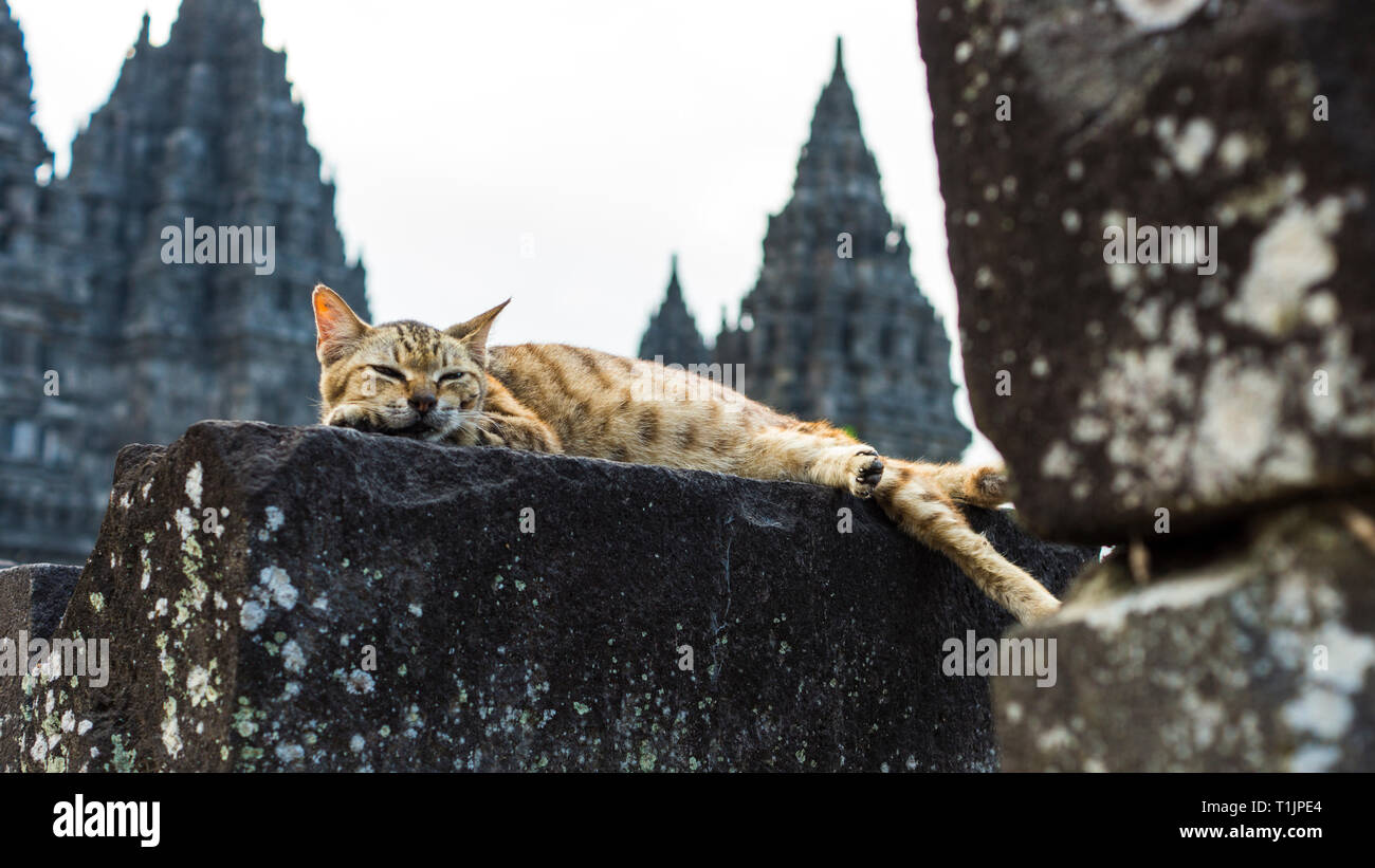 Sleeping buddha mountain hi-res stock photography and images - Alamy