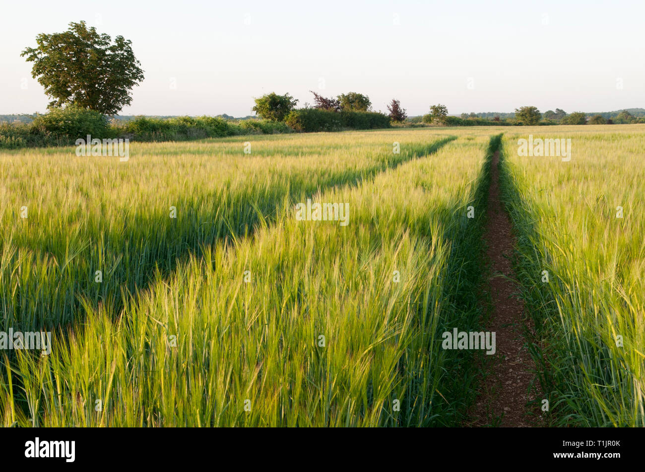 Green rural scene hi-res stock photography and images - Alamy