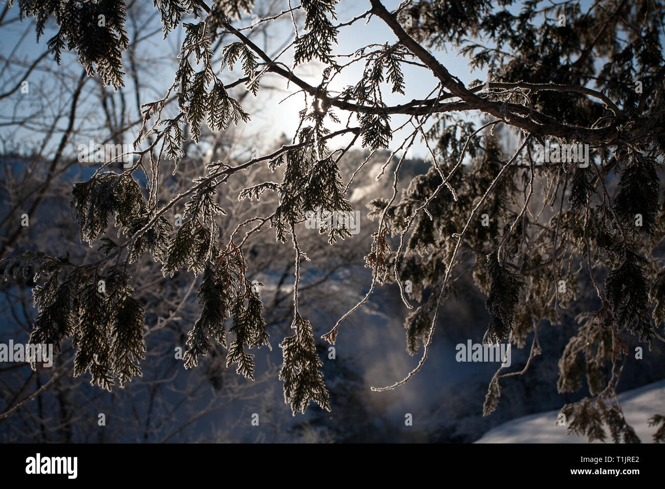 Corinth Vermont High Resolution Stock Photography and Images - Alamy