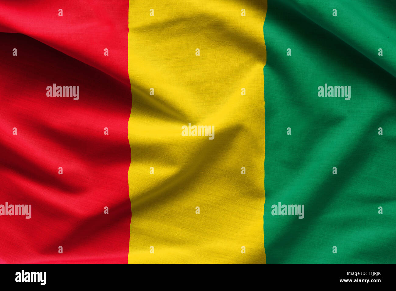 Guineaflag hi-res stock photography and images - Alamy
