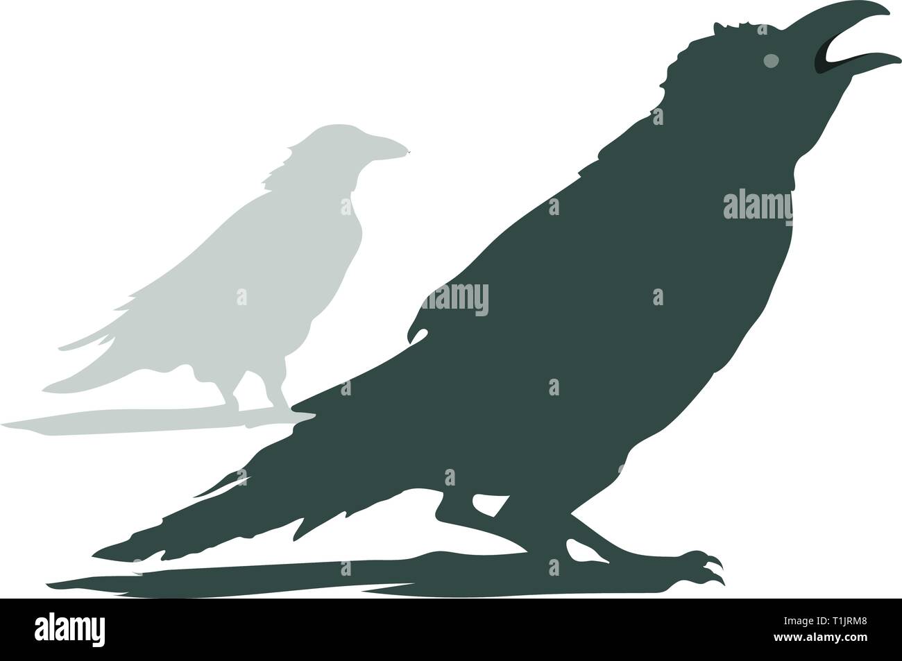Ravens vector vectors hi-res stock photography and images - Alamy