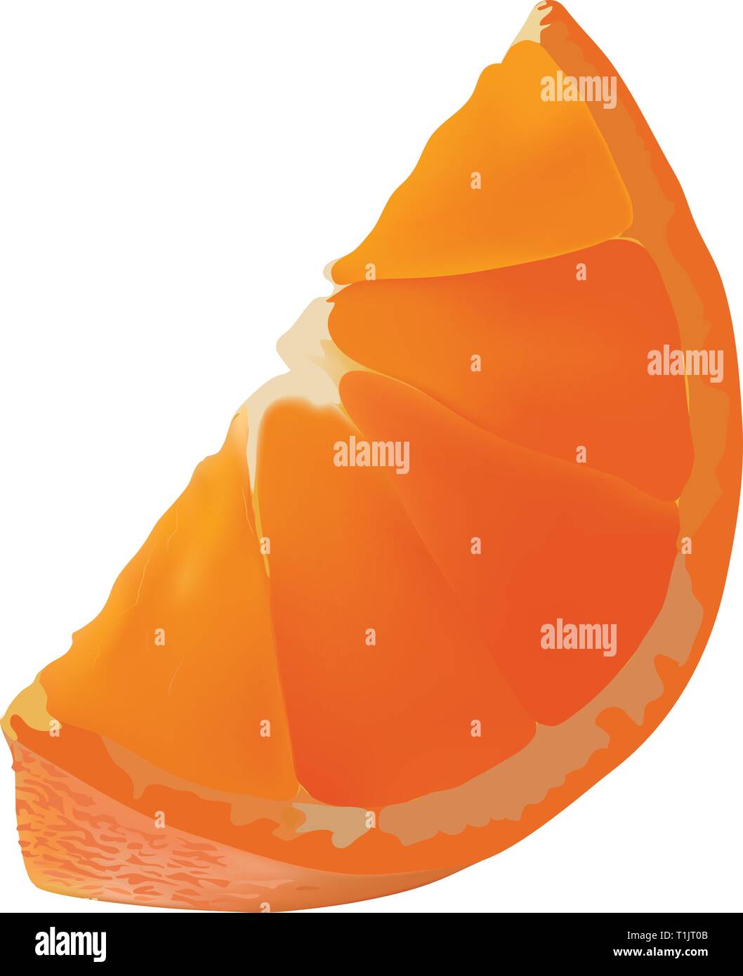 Isolated lime slices sliced Stock Vector Images - Alamy