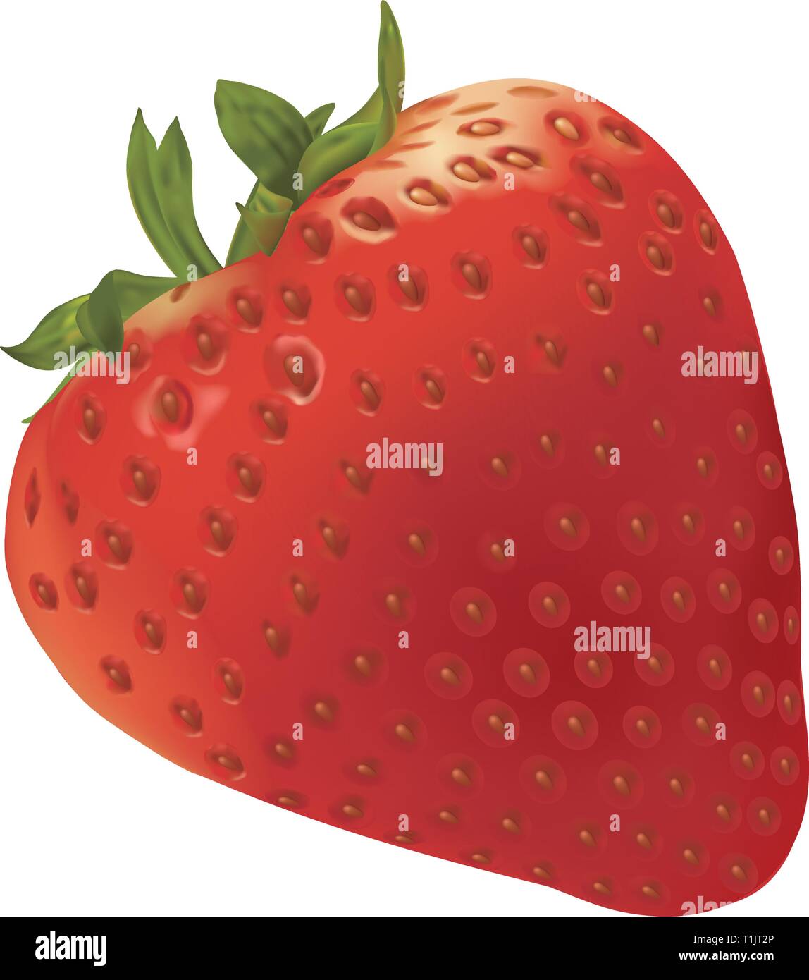 A single strawberry fuit Stock Vector Image & Art - Alamy