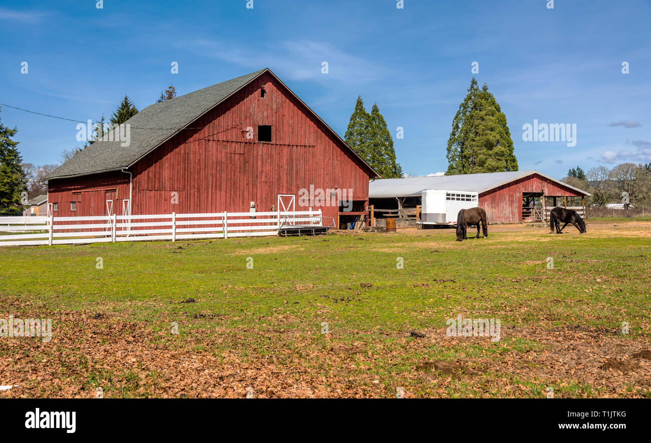 Country barn and horses in rural Oregon state Stock Photo - Alamy