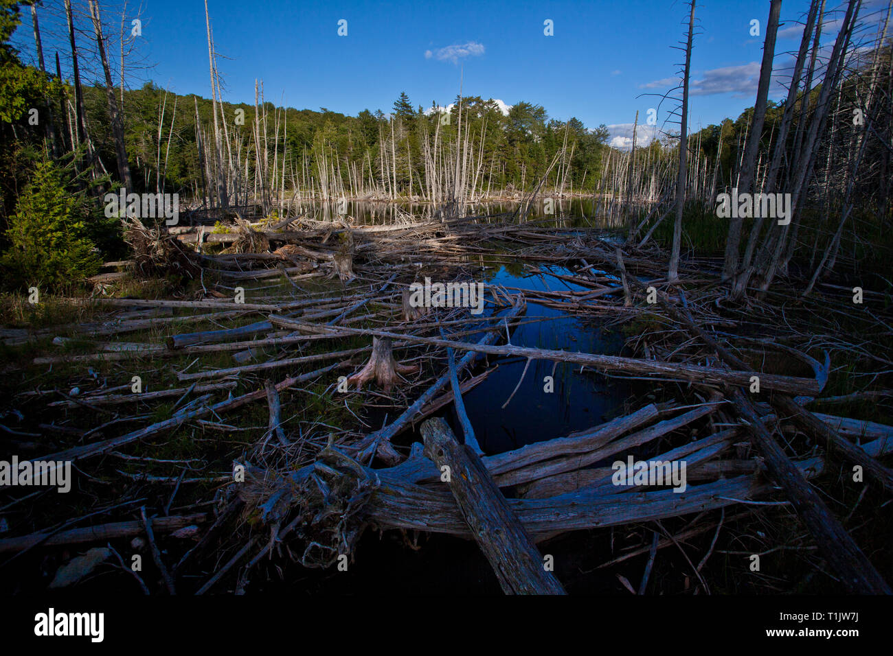 Mount westmore hi-res stock photography and images - Alamy