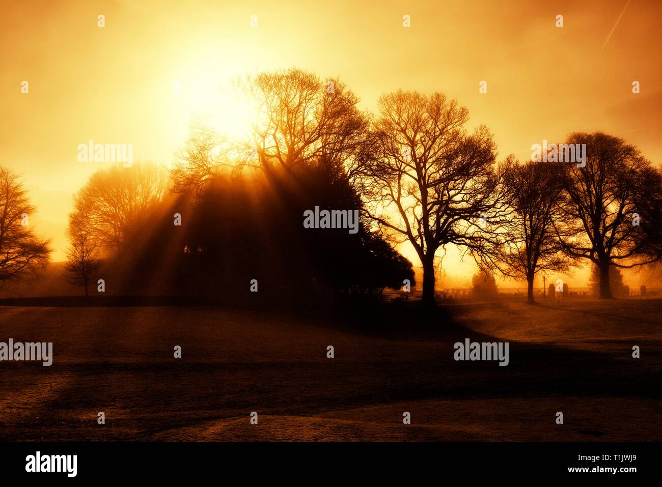 Park glebe hi-res stock photography and images - Alamy