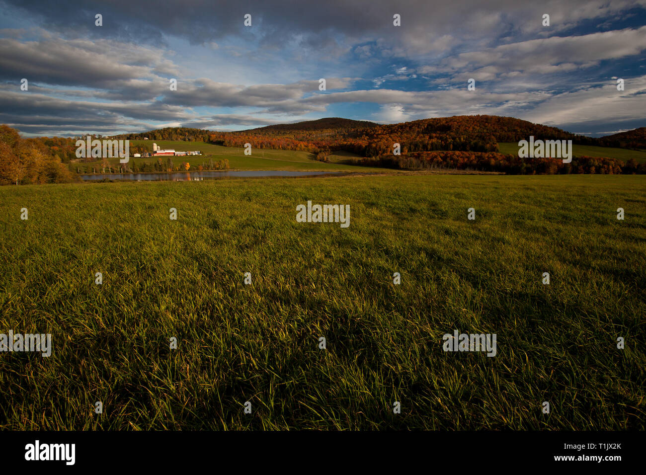 Cabot vermont hi-res stock photography and images - Alamy