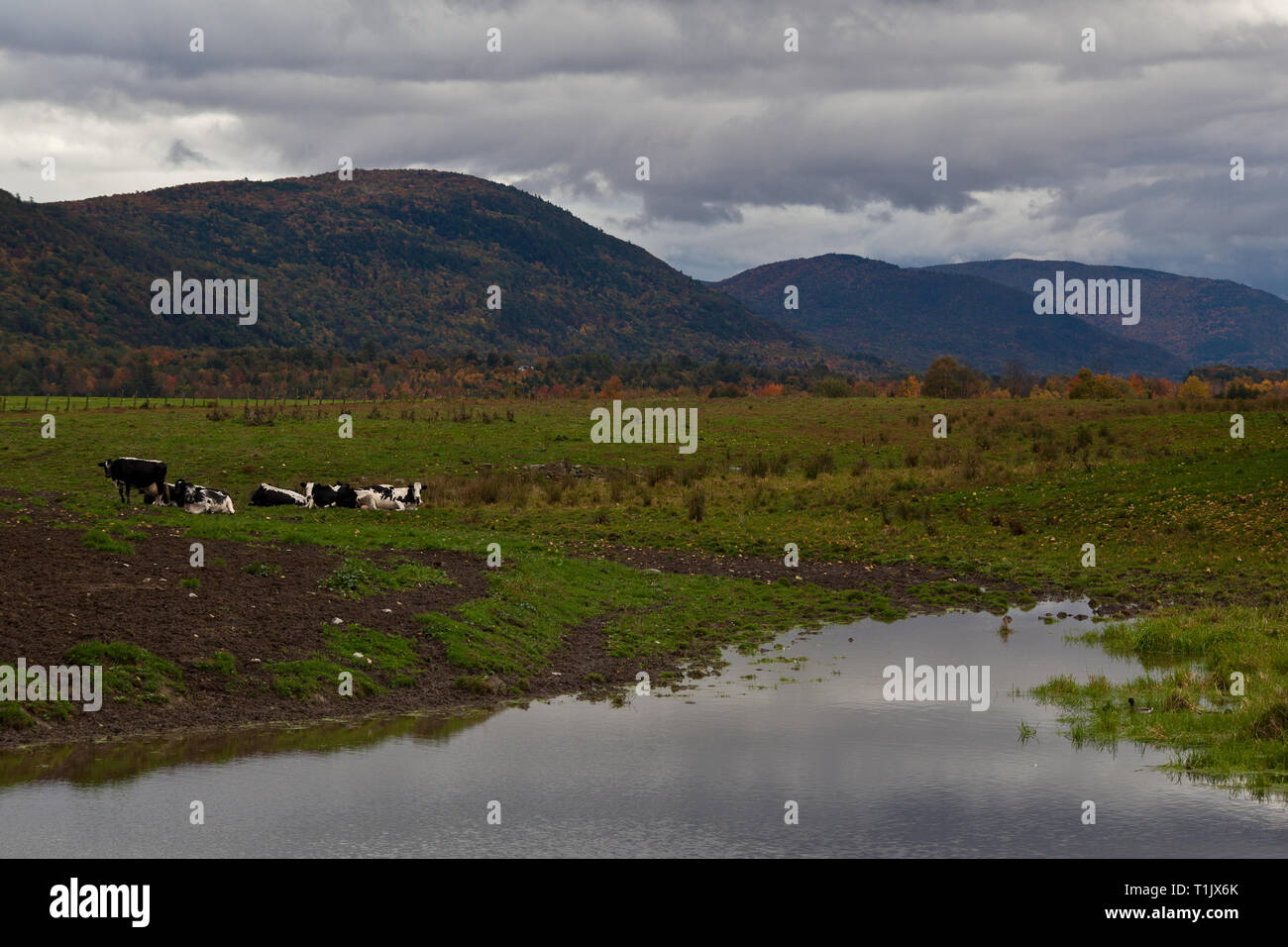 Addison county hi-res stock photography and images - Alamy