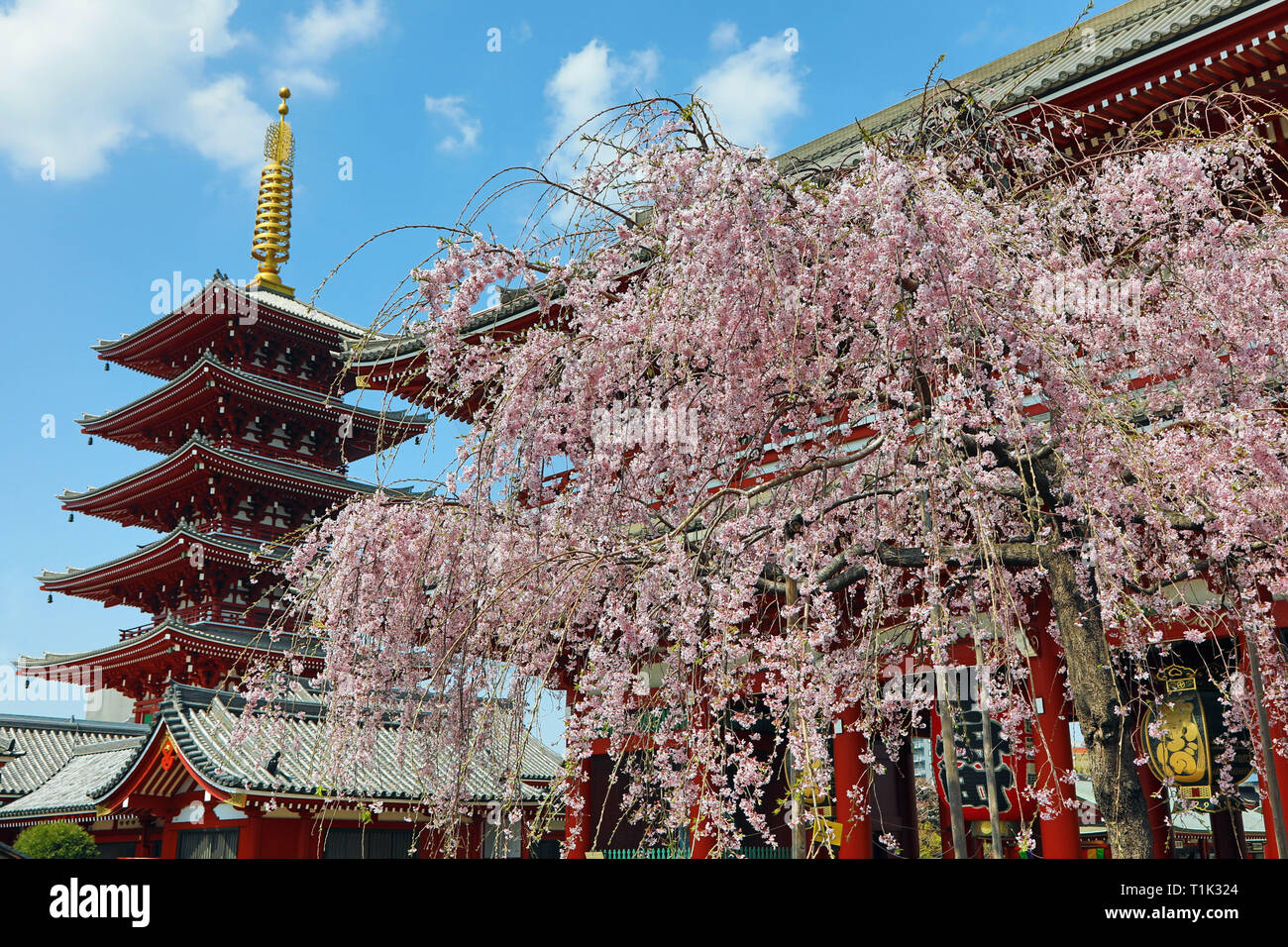 Tokyo japan temples 2019 hi-res stock photography and images - Alamy