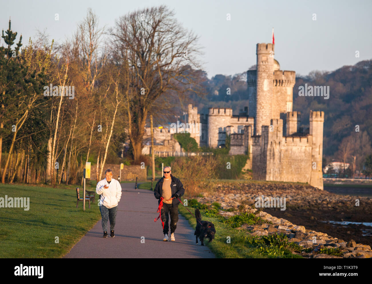 Blackrock castle cork co cork ireland hi-res stock photography and ...
