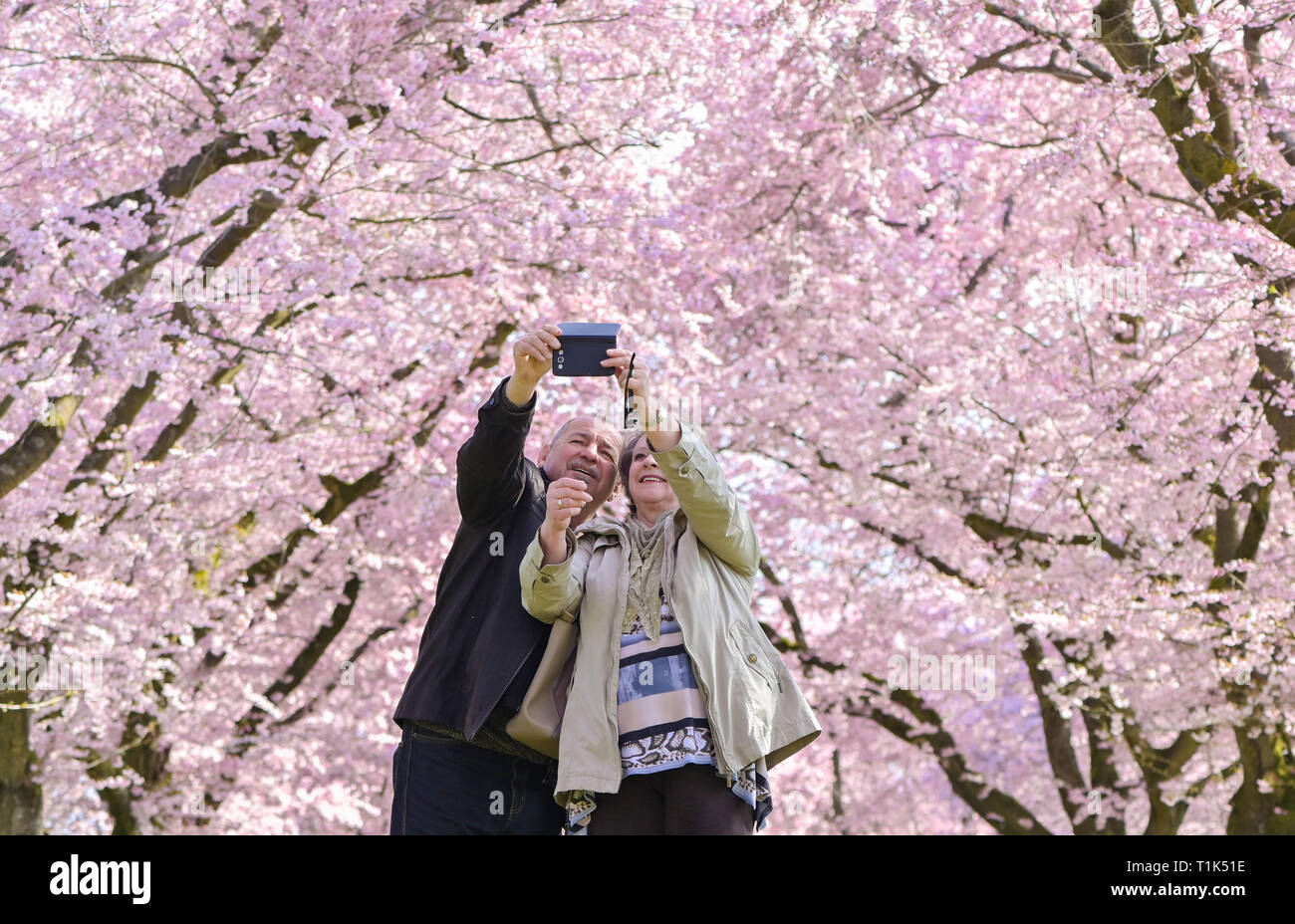 Michael schubert hi-res stock photography and images - Alamy