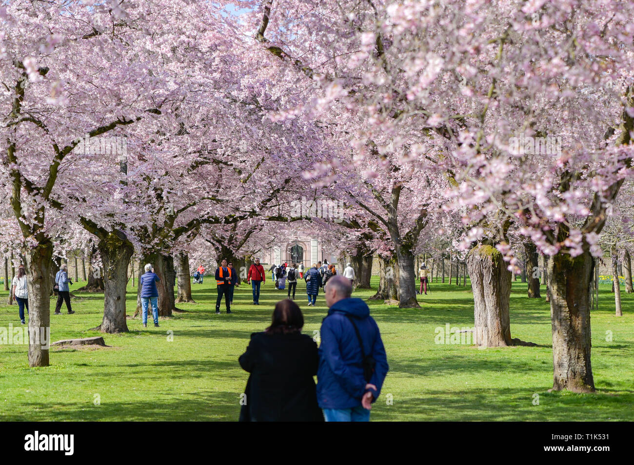 Schwetzingen, Germany. 27th Mar, 2019. Visitors stroll in the castle ...