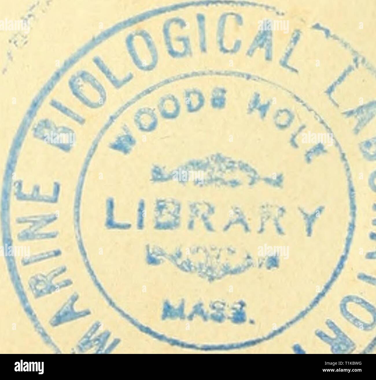 Dobutsugaku zasshi (1912 Stock Photo - Alamy