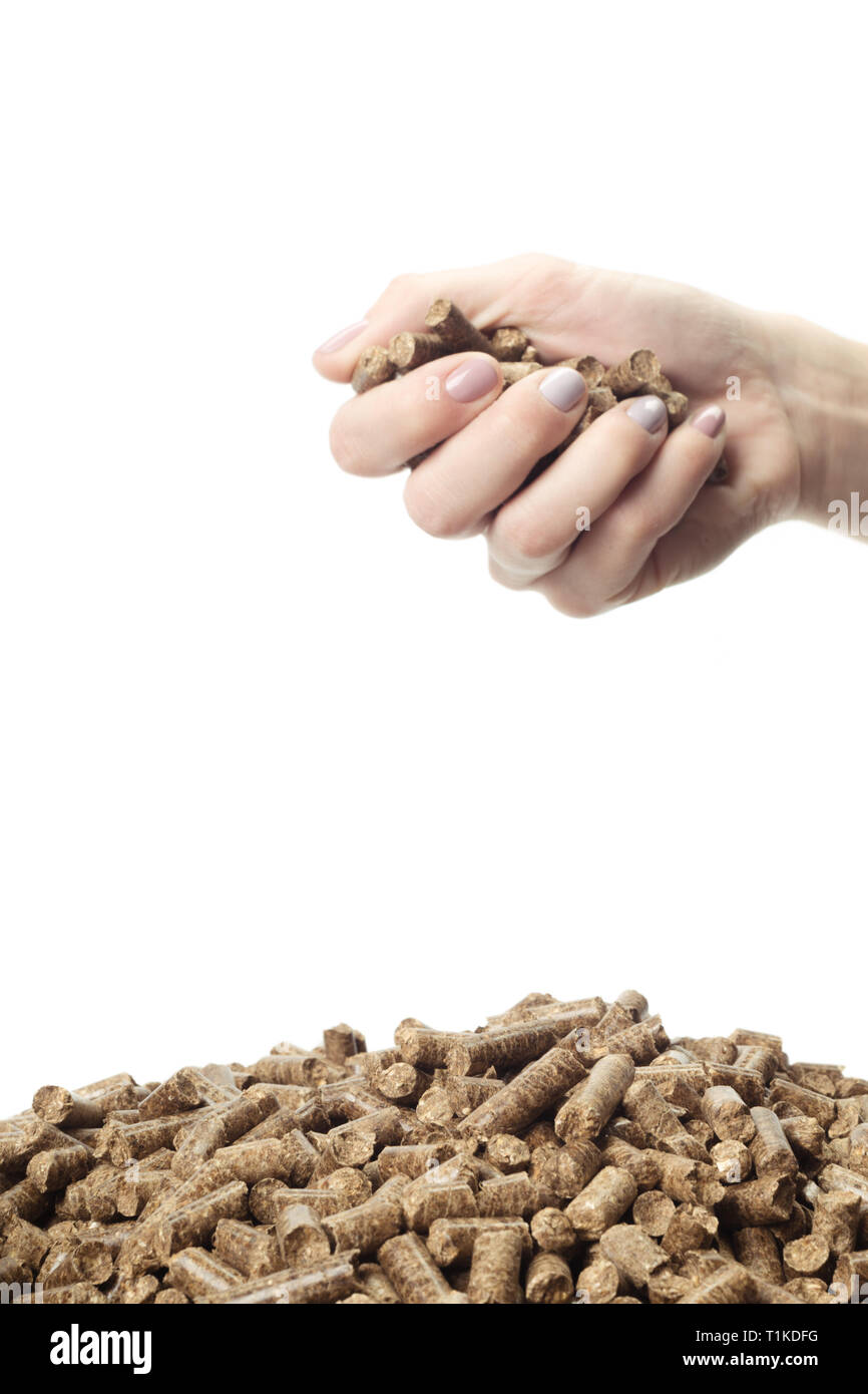 Human hand holding solid wooden pellets Stock Photo - Alamy