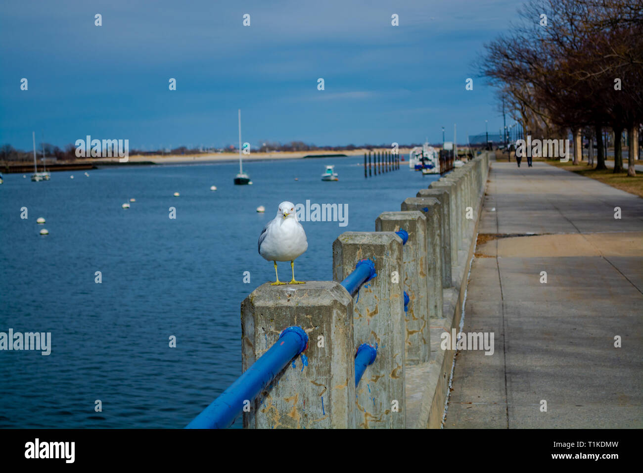 Sheepshead bay brooklyn hi-res stock photography and images - Alamy