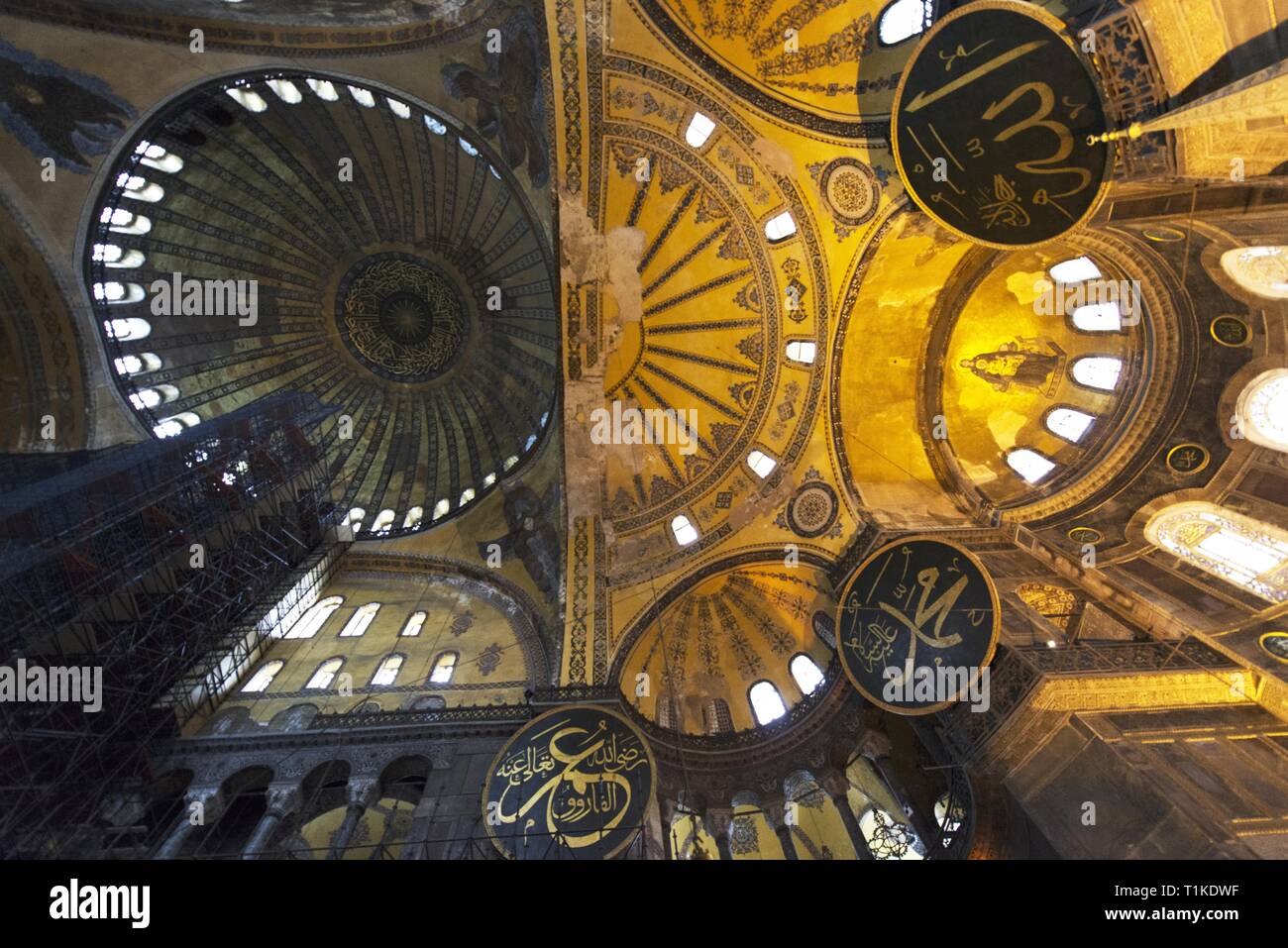 Sapientia hi-res stock photography and images - Alamy