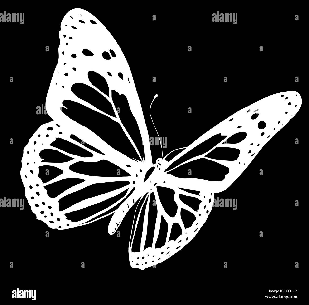 illustration of a beautiful colorful butterfly that flies Stock Vector ...