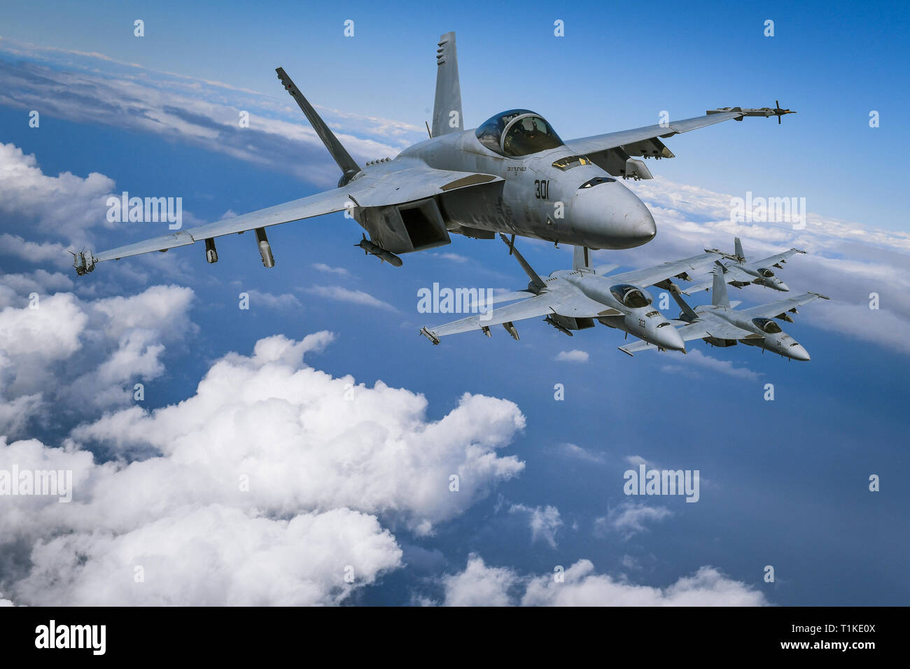 U.S. Navy F/A-18E Super Hornet fight aircraft with Strike Fighter ...