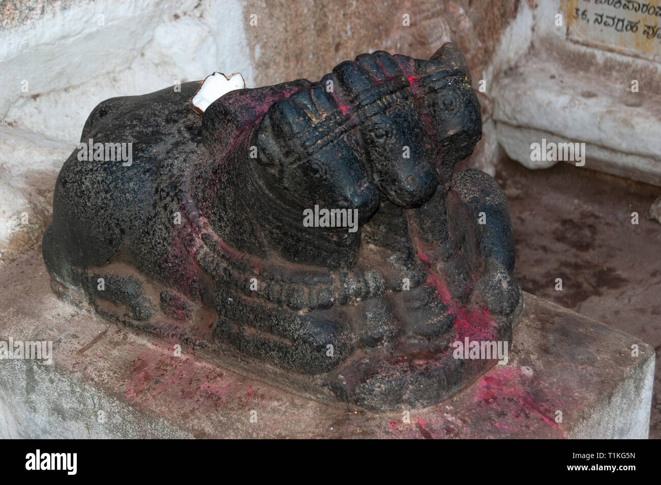 Beautiful old three headed hi-res stock photography and images - Alamy