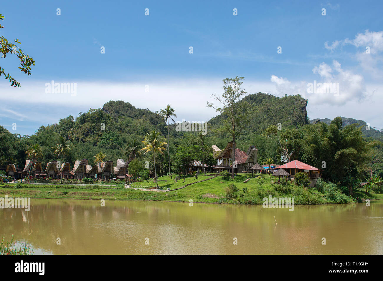 Tongkonan houses, traditional Torajan buildings, Tana Toraja is the ...