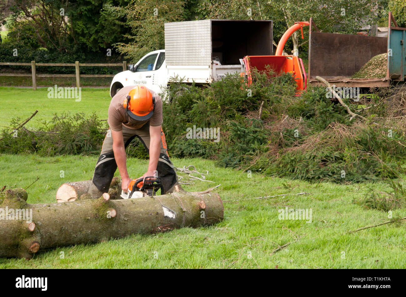 Tree surgeons hi-res stock photography and images - Alamy