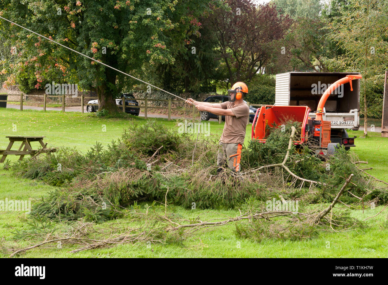 Tree surgeon rope hi-res stock photography and images - Alamy