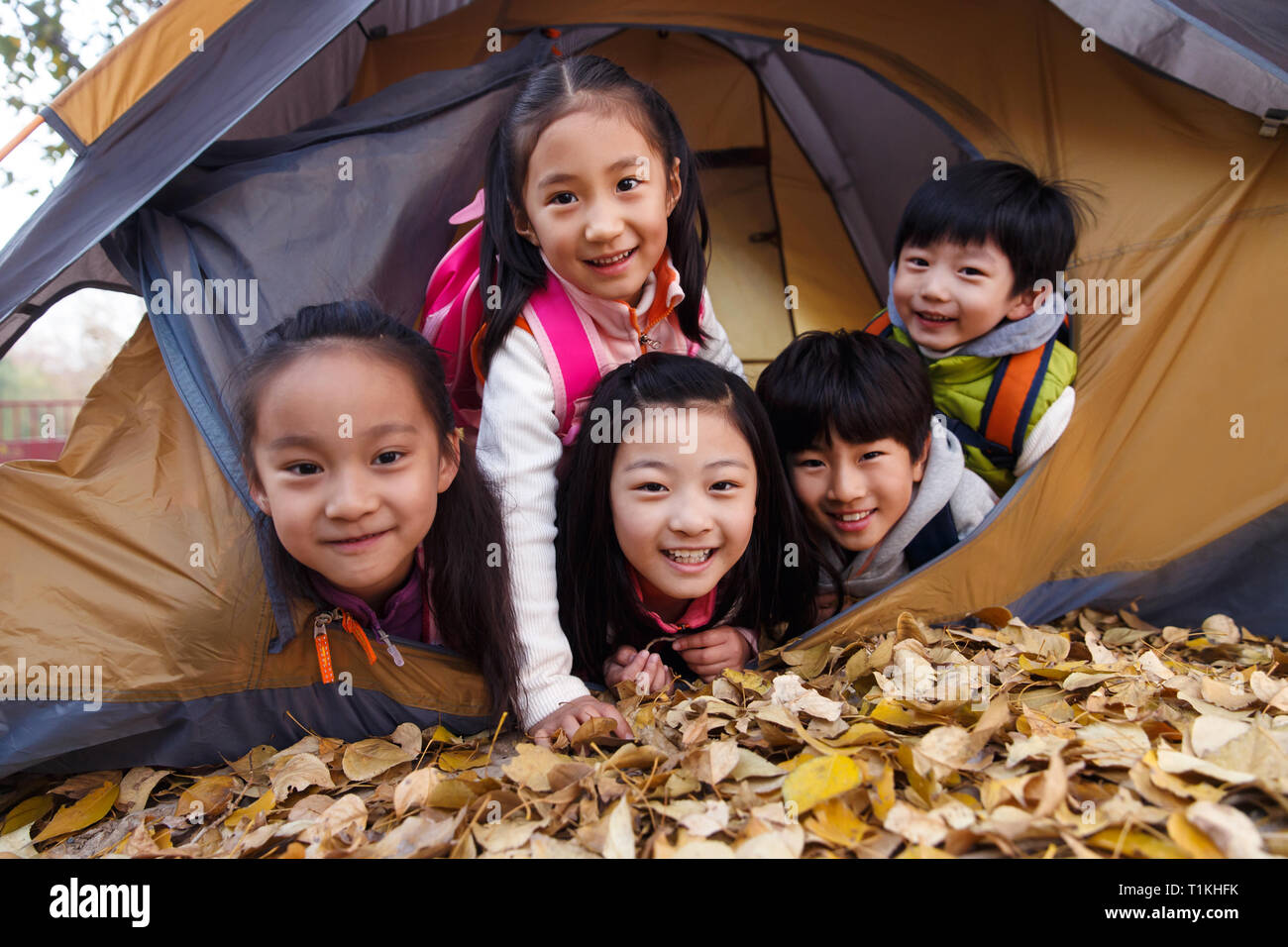 Elementary school students in the outdoor camping Stock Photo - Alamy