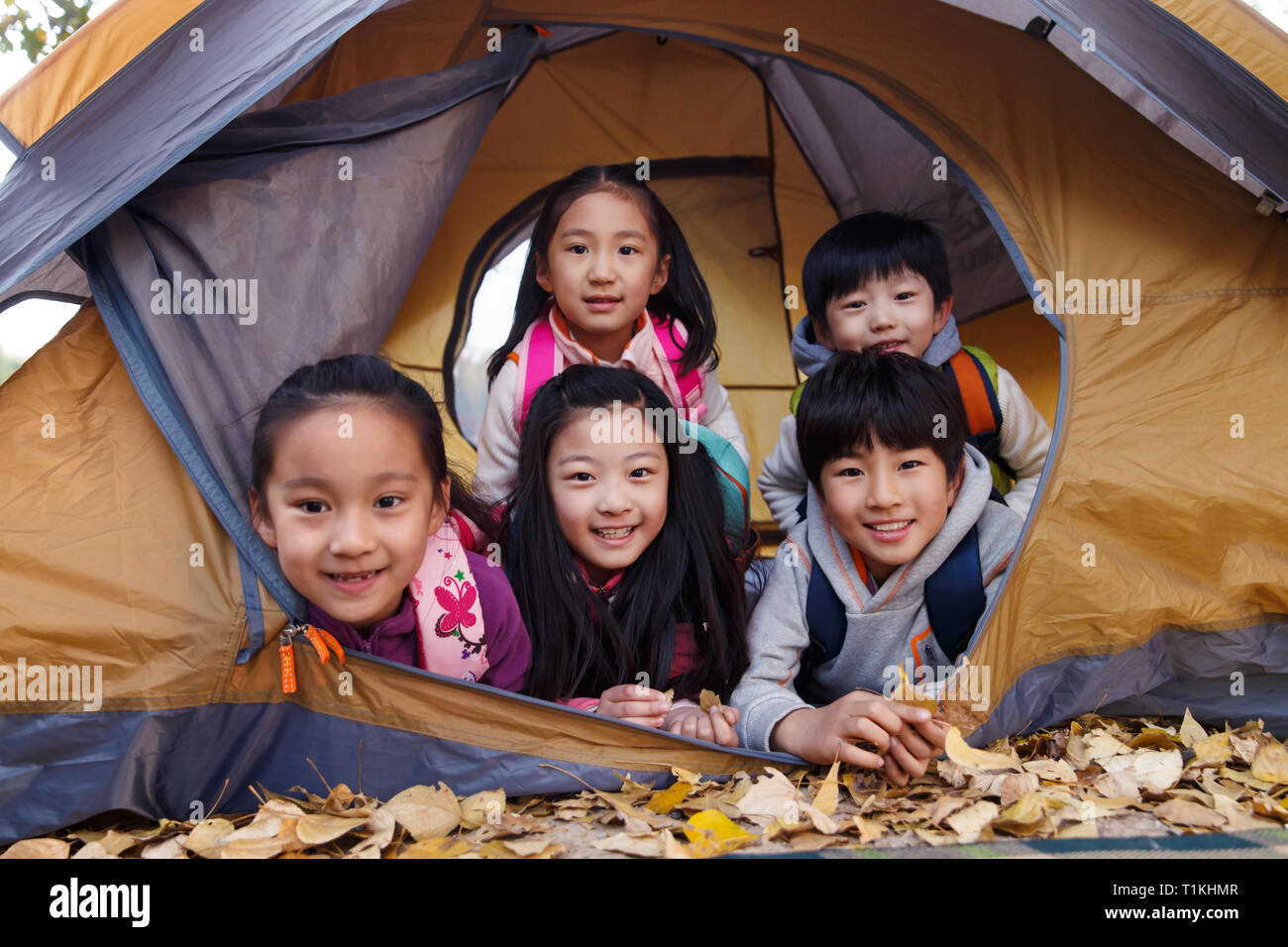 Elementary school students in the outdoor camping Stock Photo - Alamy