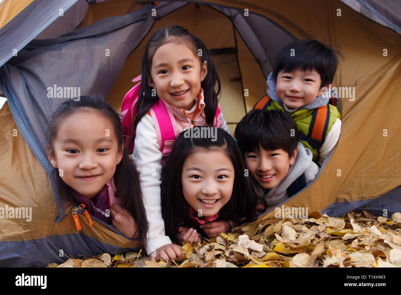 Elementary school students in the outdoor camping Stock Photo - Alamy