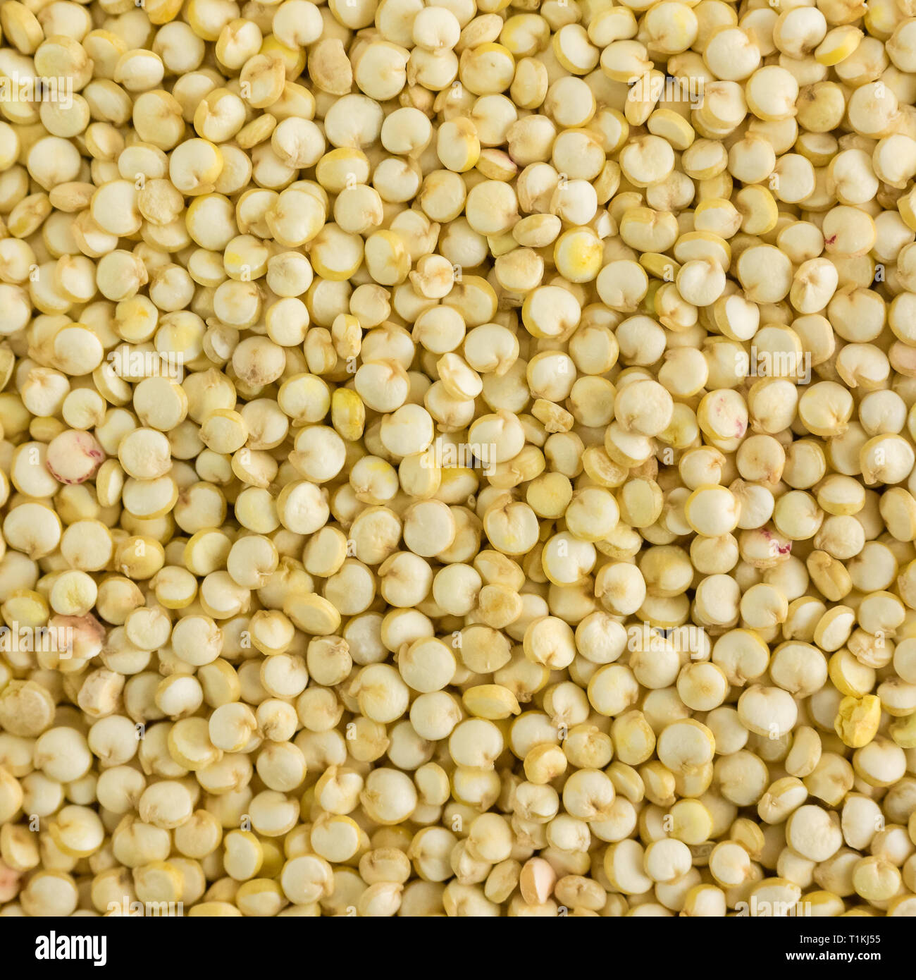 Close photo of Quinoa Seeds, background made of Quinoa seeds. Quinoa ...
