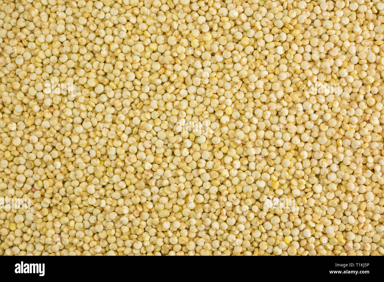 Close photo of Quinoa Seeds, background made of Quinoa seeds. Quinoa ...