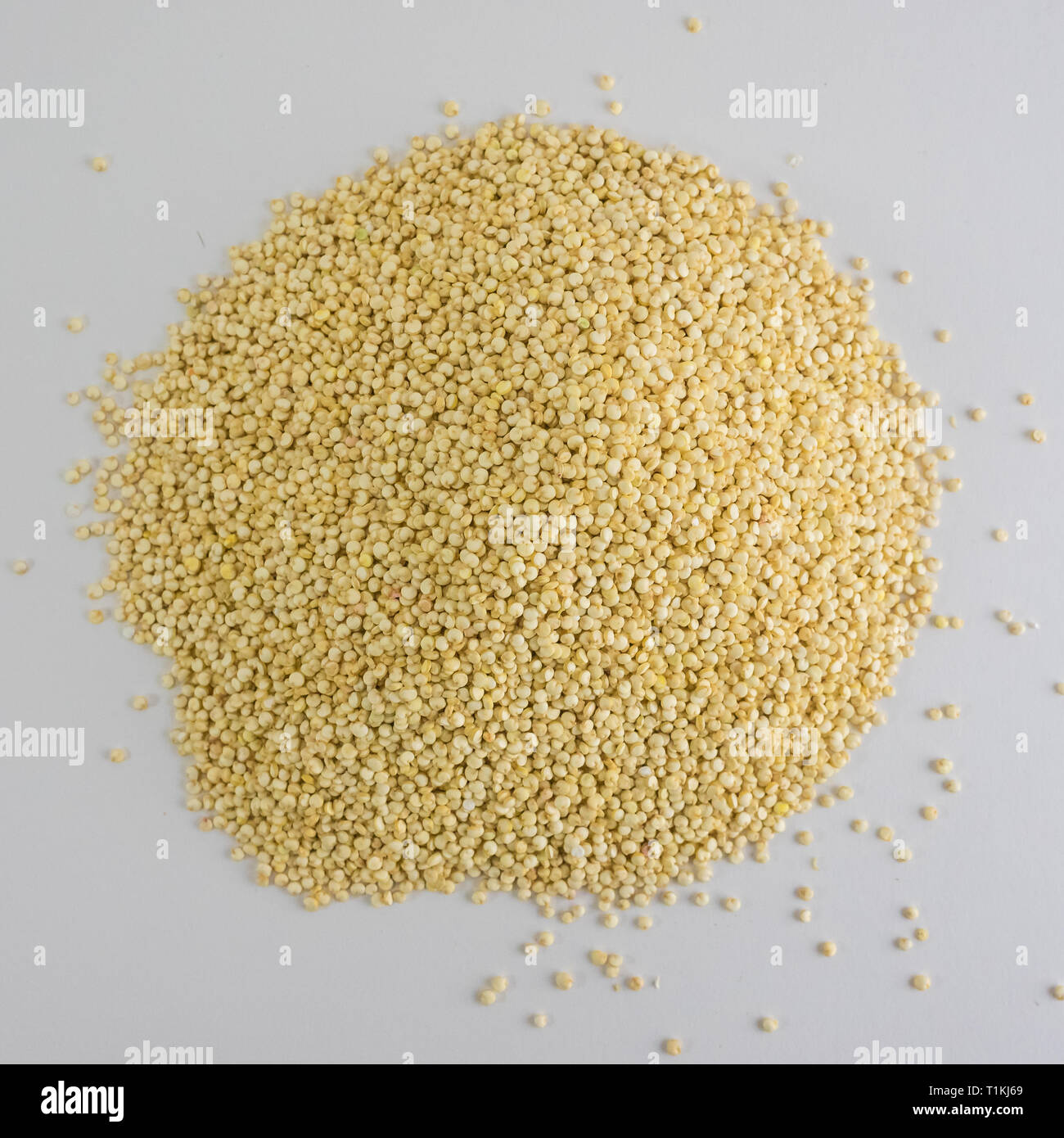 Mountain of Quinoa Seeds, white background of Quinoa seeds. Quinoa ...