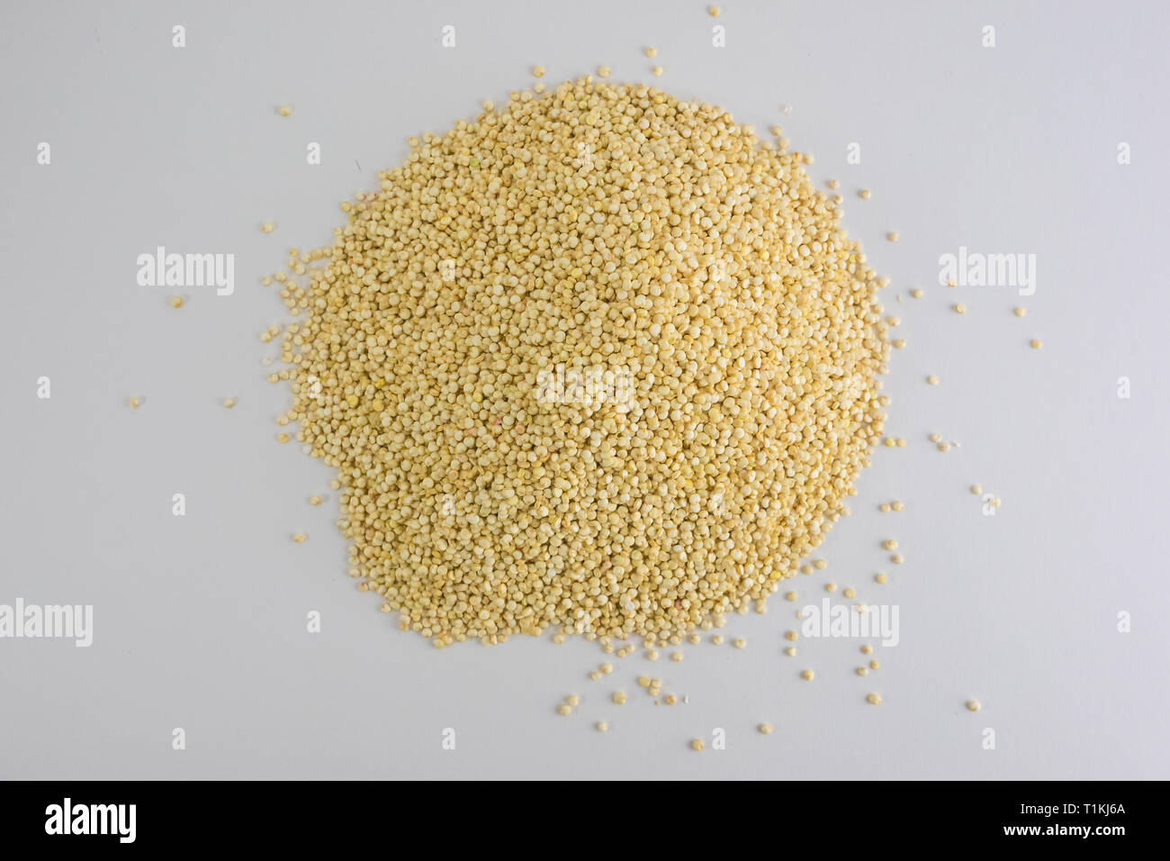 Mountain of Quinoa Seeds, white background of Quinoa seeds. Quinoa ...