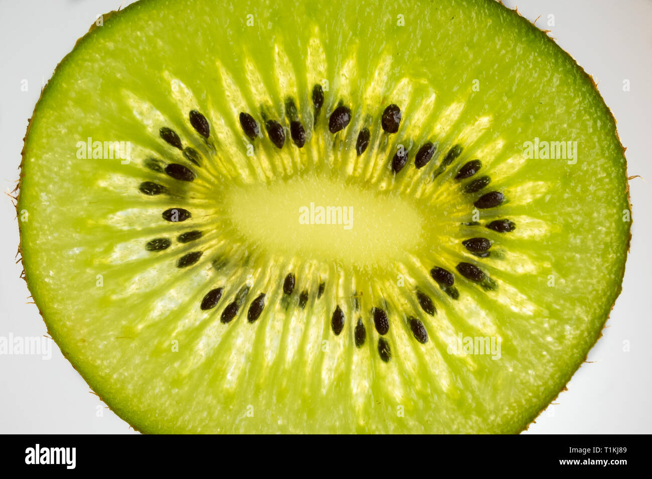 Slice of kiwi fruit with backlight, close-up photo of a kiwi, raw green ...