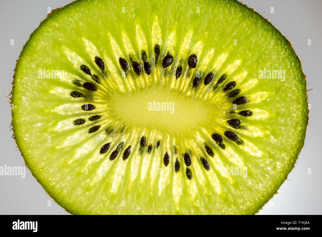 Slice of kiwi fruit with backlight, close-up photo of a kiwi, raw green ...