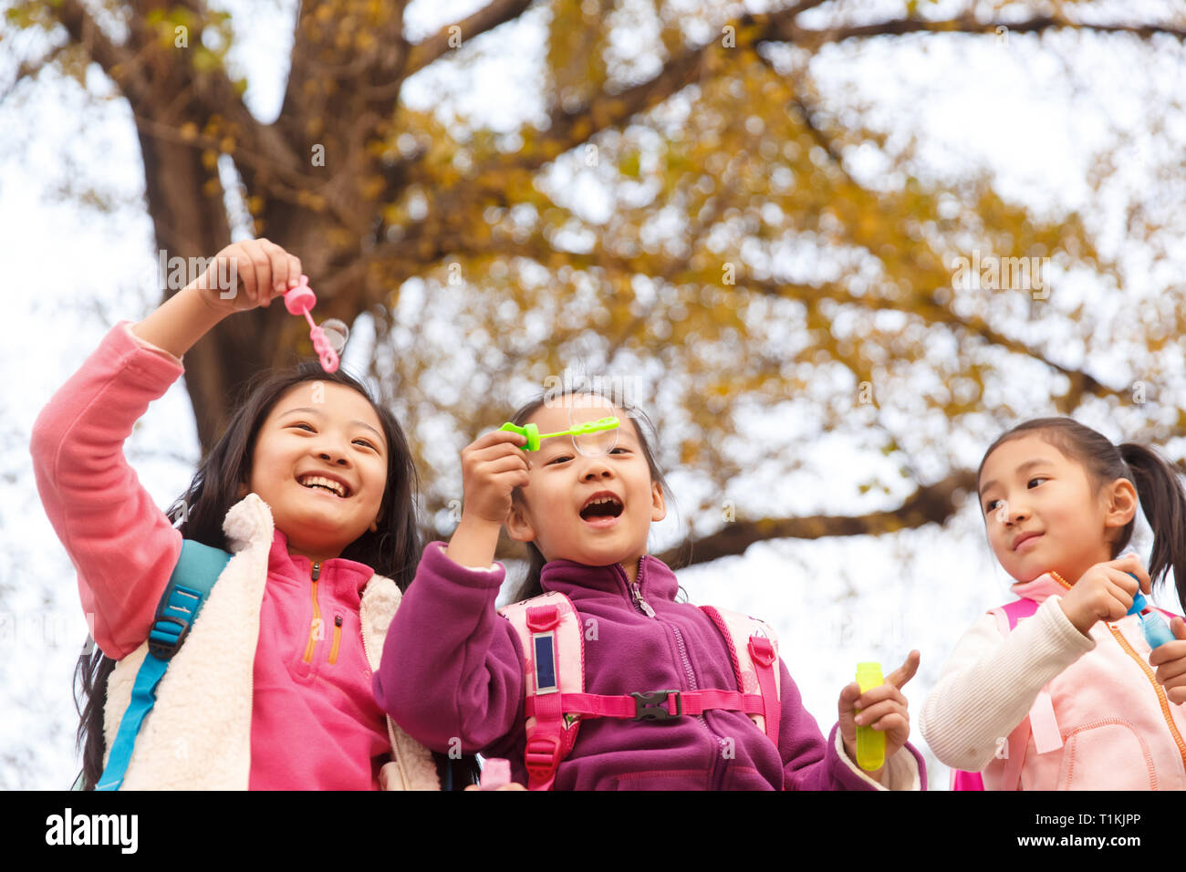 Year 7 pupils hi-res stock photography and images - Alamy