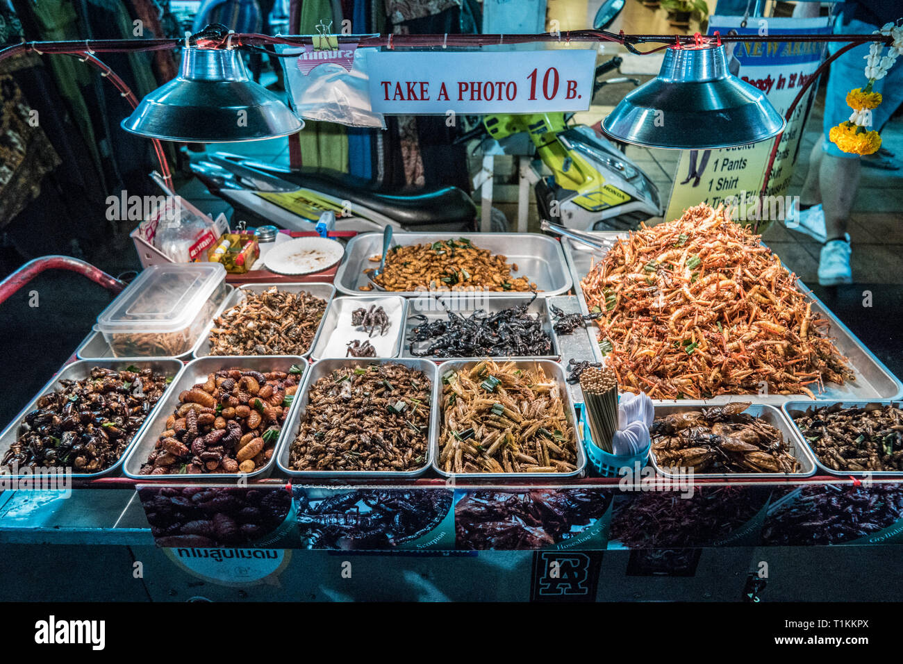 Fried insects on the streets of Khao San Road in Bangkok, Thailand ...
