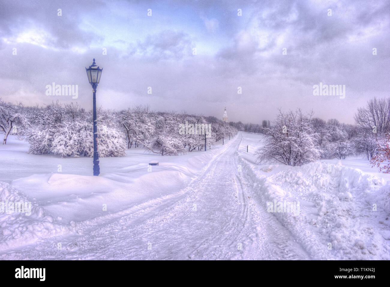 Winter snowy city park alley. Trees covered with snow. Winter season ...