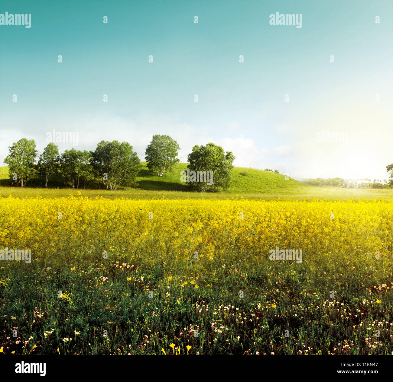 Car ads background Stock Photo - Alamy