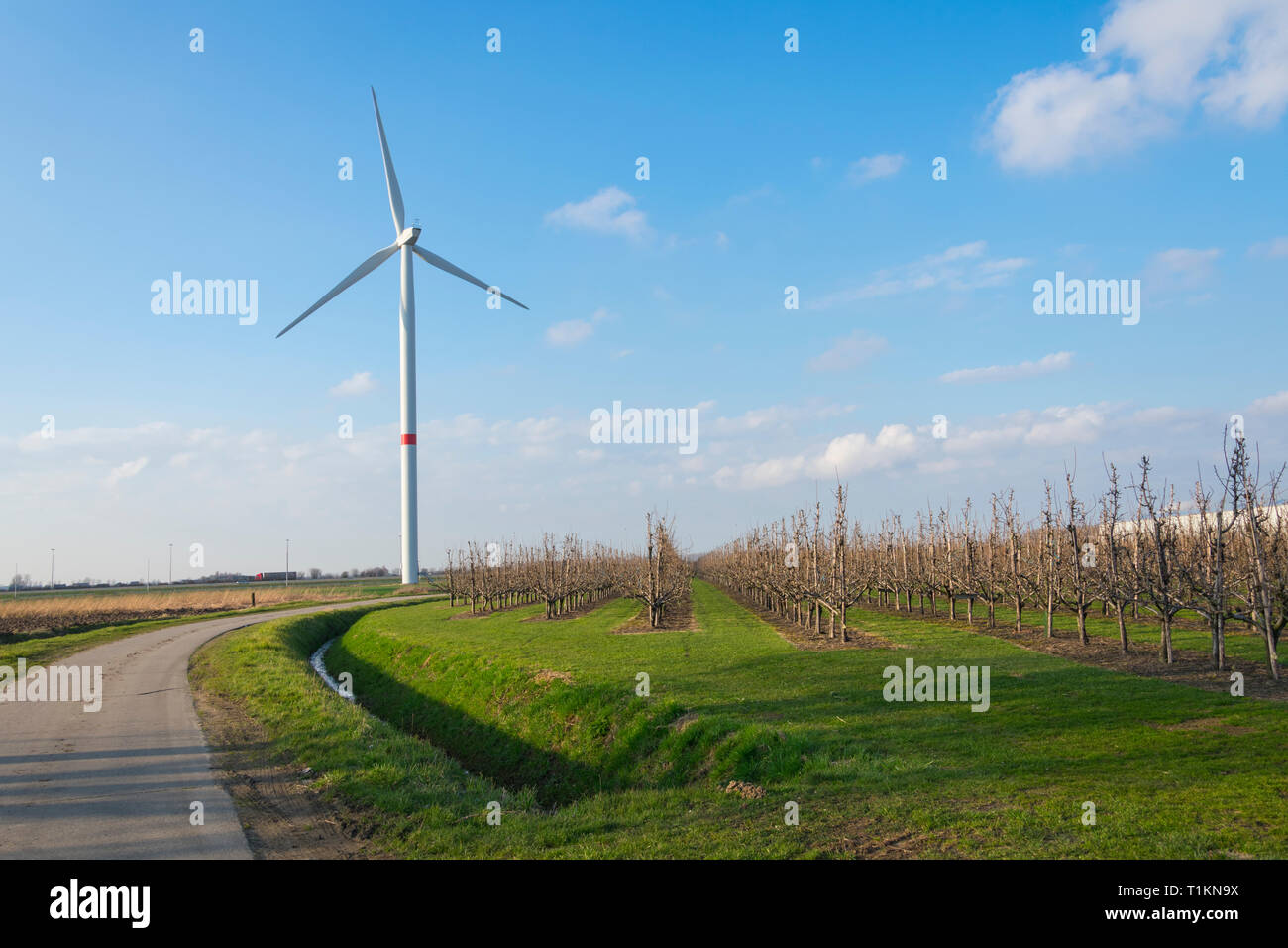 Wind turbine next to a road and next to a field with Apple trees Stock ...