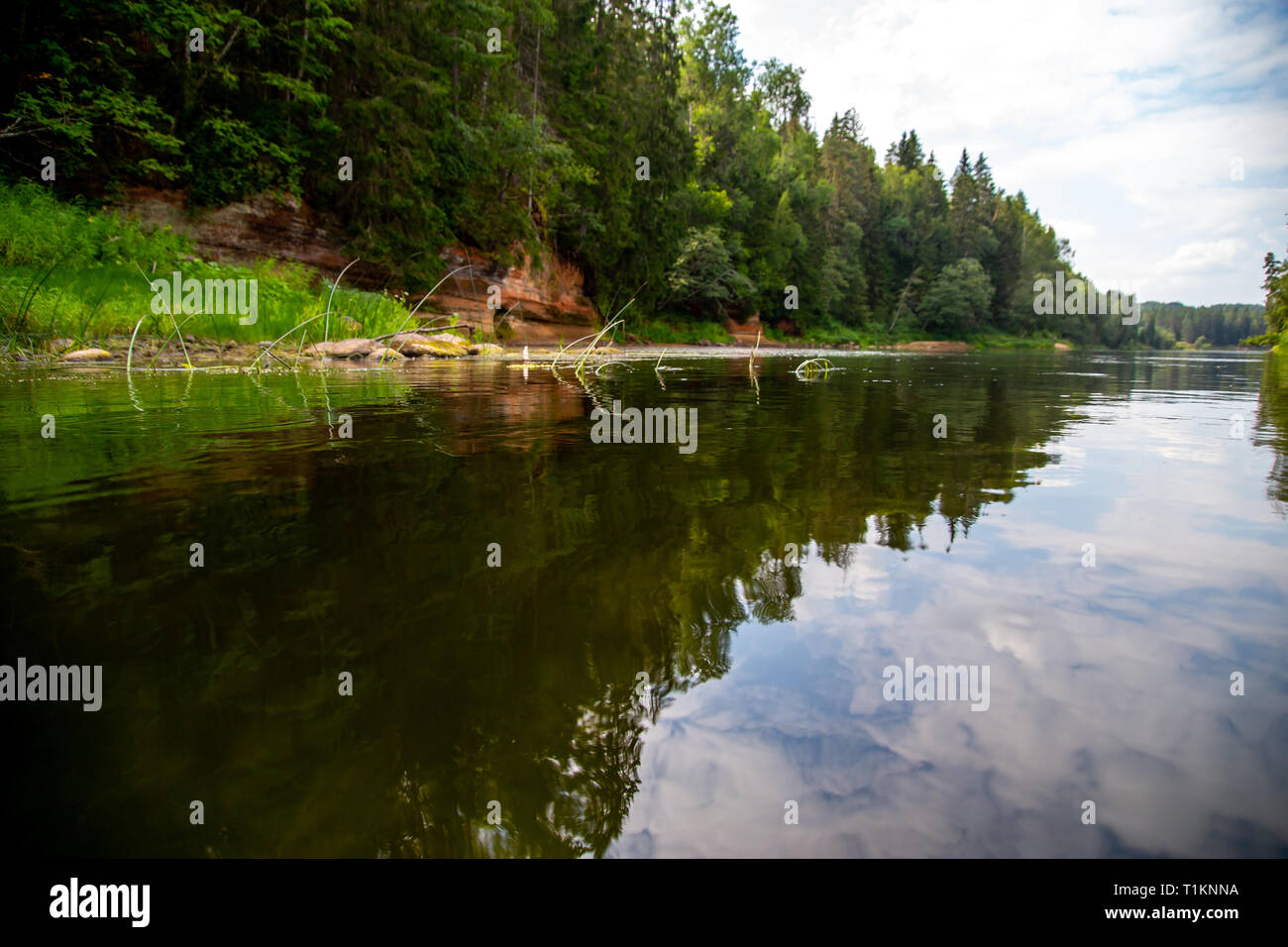 Landscape with cliff near the river Gauja and forest and clouds ...