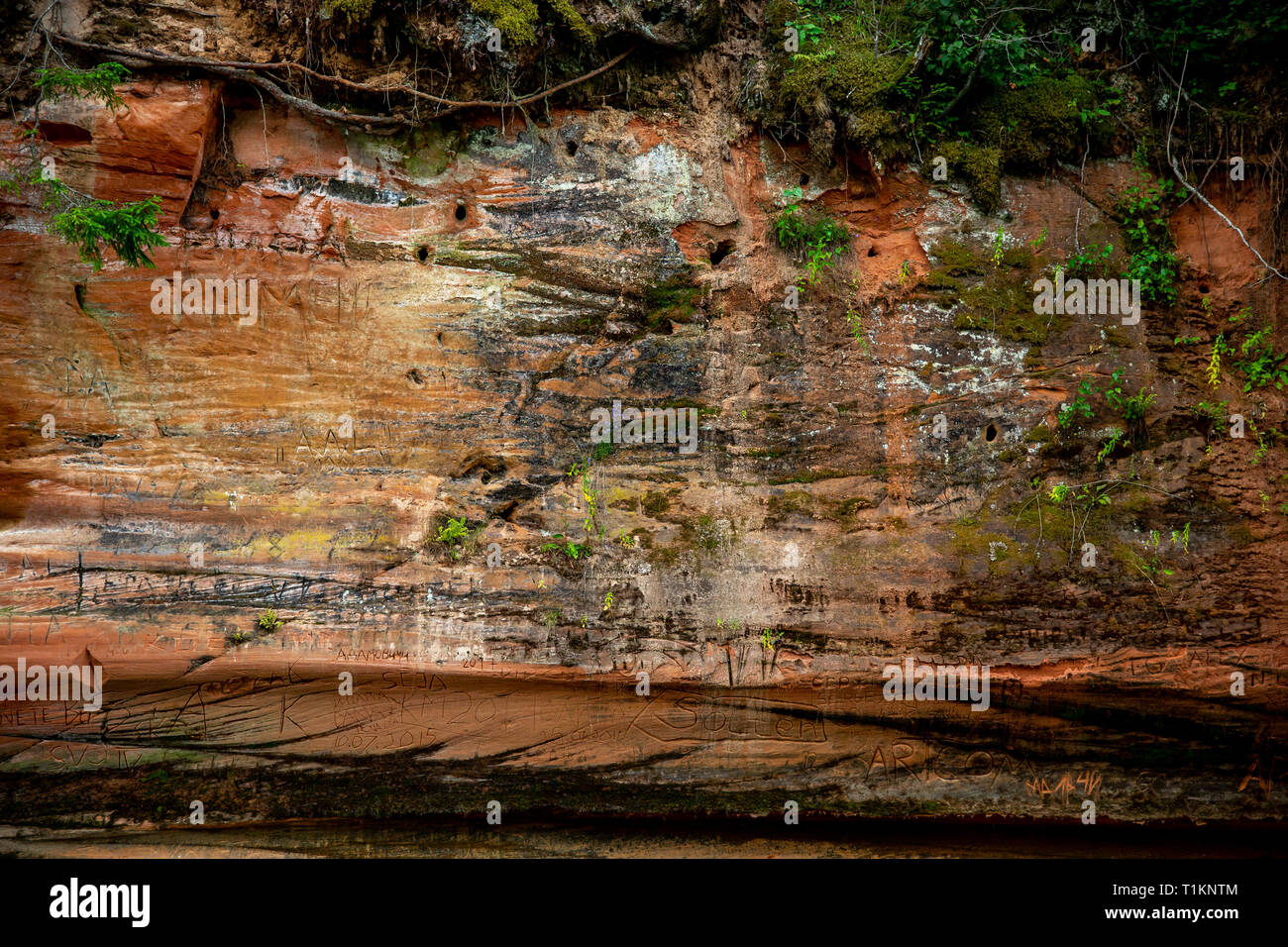 Cemented sedimentary rocks hi-res stock photography and images - Alamy