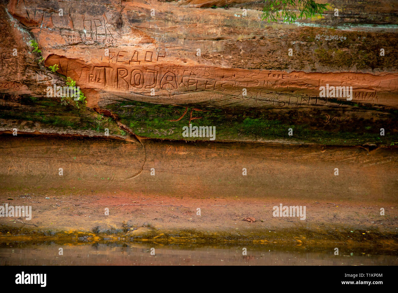 Closeup of sandstone cliff formation near the river Gauja in Latvia ...