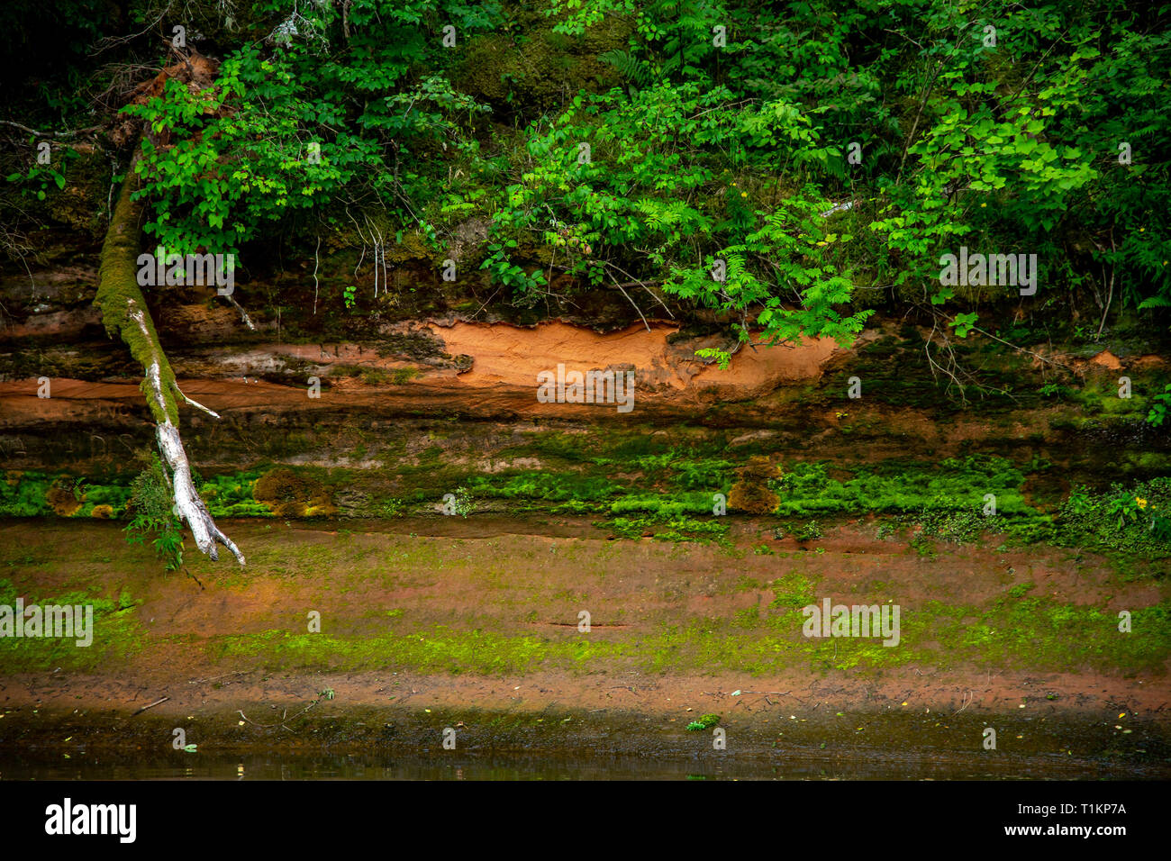Cemented sedimentary rocks hi-res stock photography and images - Alamy