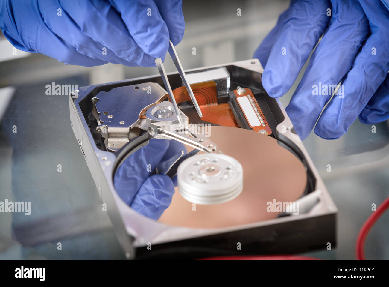 Service man fixing disk failure, hands protected with gloves Stock ...