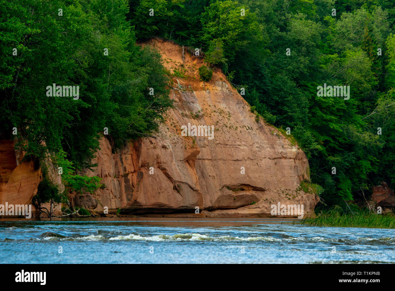Landscape of cliff with cave near the river Gauja and forest. Gauja is ...