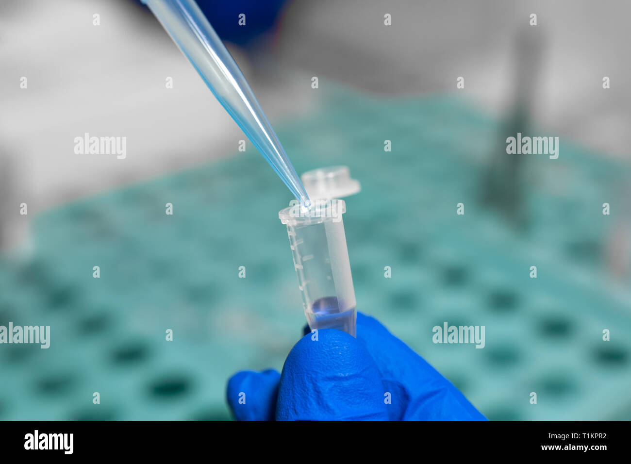 Closeup laboratory assistant analyzing a blood sample using ...