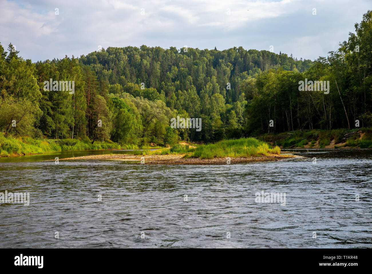 Landscape of flowing river, green forest and blue sky. Gauja is the ...