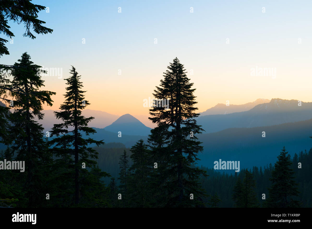 Mt rainier panoramic hi-res stock photography and images - Alamy