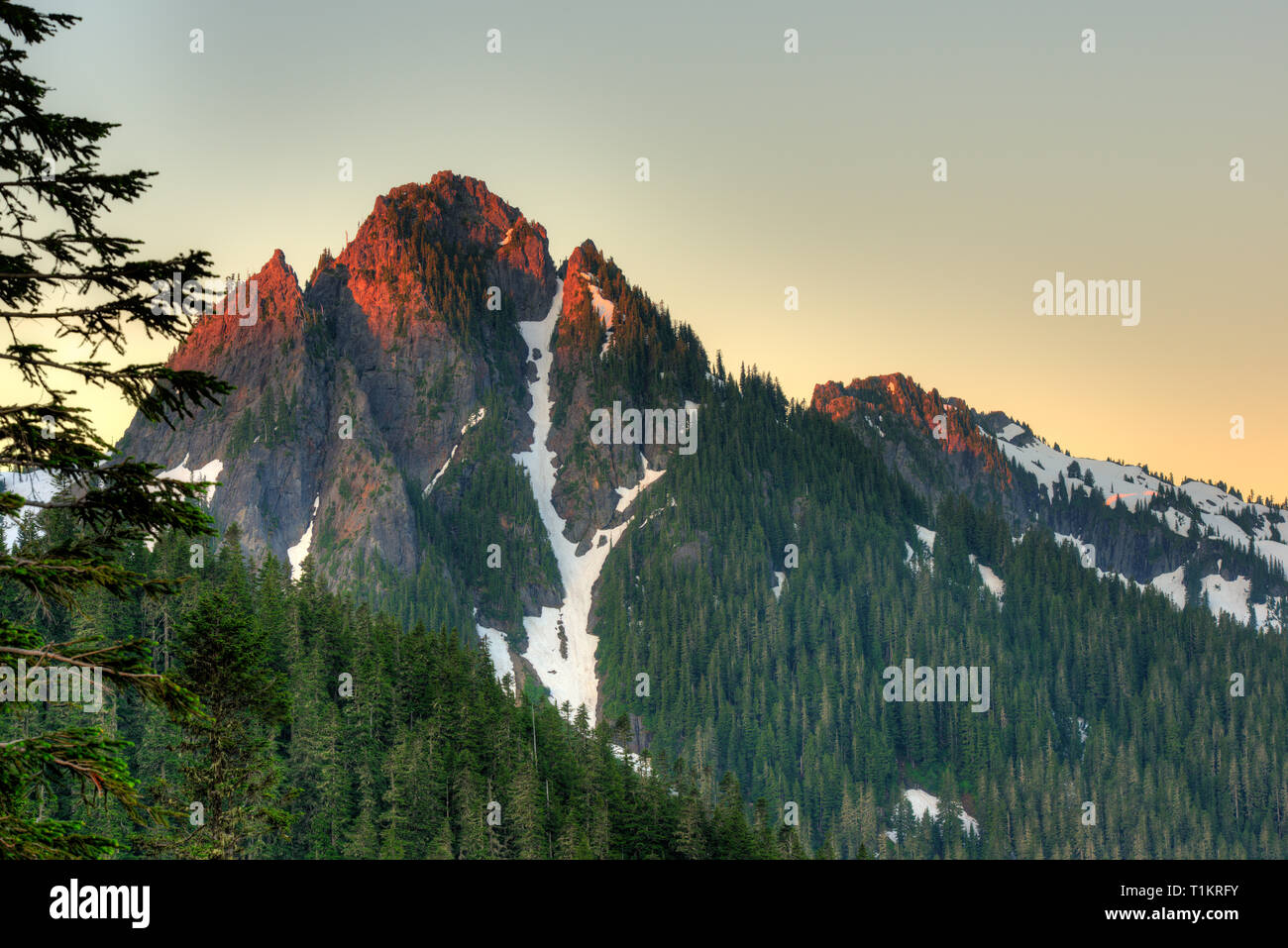 Paradise area at Mount Rainier National Park, Washington State, USA ...